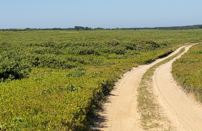 Take a Virtual Tour of Nantucket, Rent a Jeep Nantucket Island Rent A Car